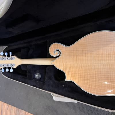 Alvarez F1, F-style mandolin | Reverb