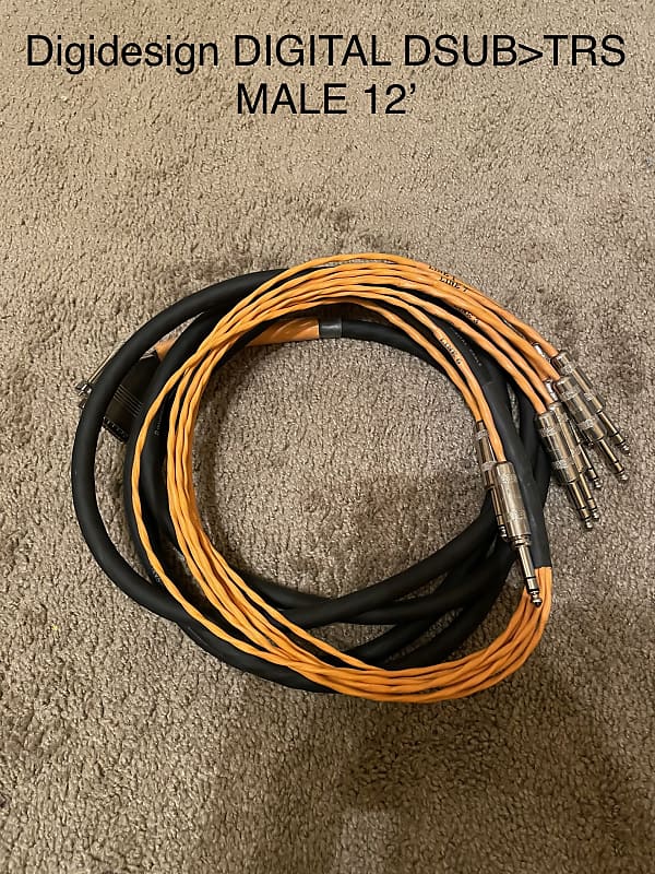 Digidesign Digital DSUB>TRS Male Cable 12’ | Reverb