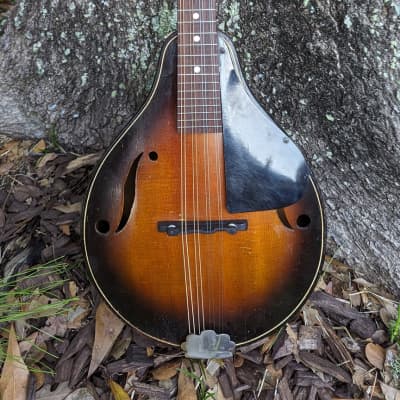 Stradolin Mandolin 1938 - Sunburst with New Frets | Reverb