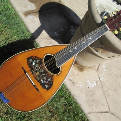 Ditson Victory Mandolin (Larson Bros.) | Reverb
