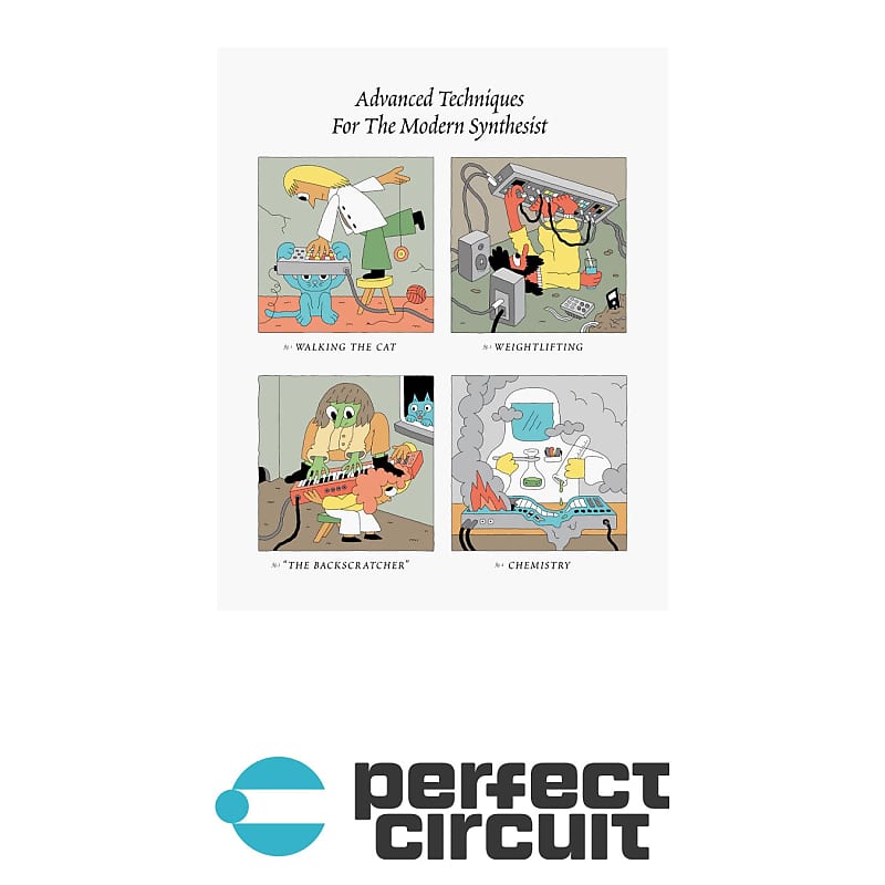 Perfect Circuit Advanced Techniques Print | Reverb