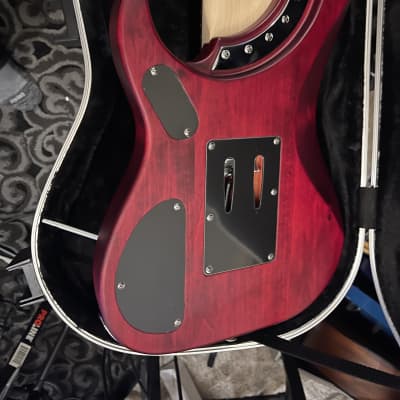 Washburn N24 paduk stain | Reverb