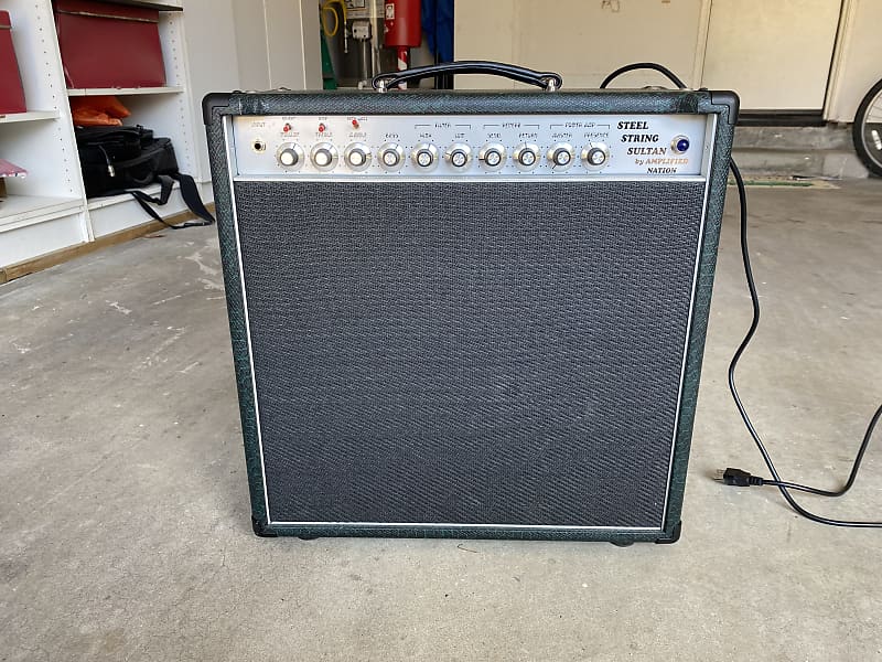 2021 Amplified Nation - Steel String Sultan 1x12 Combo | Reverb