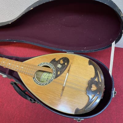 1963 Suzuki M-203 Bowl back Mandolin with original case, pick | Reverb