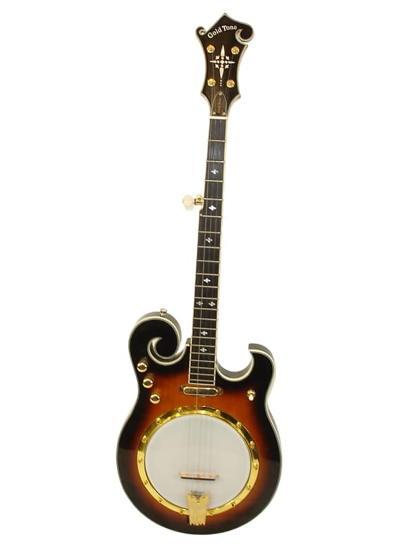 Gold Tone EBM EBM-5 5-String Electric Banjo | Reverb