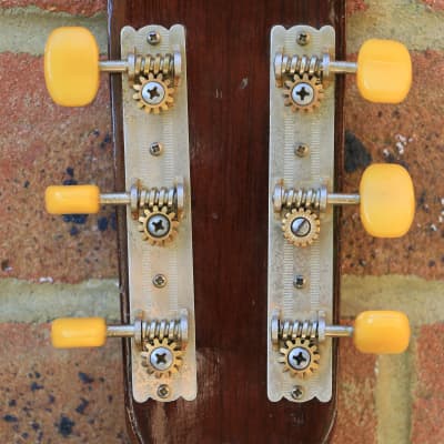 G101 SMALL PARLOR VINTAGE ACOUSTIC GUITAR 'KAY' | Reverb