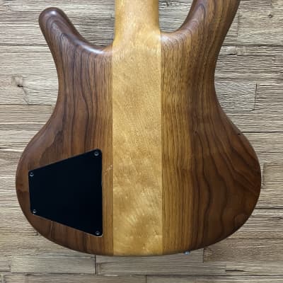 Spector SB-1 Lined Fretless 4- String Bass 1977 Made in | Reverb