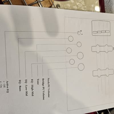 Ruokangas Steam 2021 - Ruby Red | Reverb