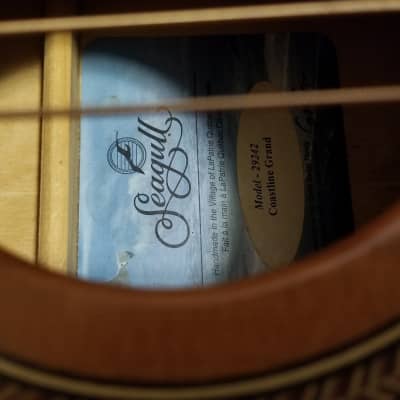 Seagull Coastline Grand Parlor model 29242 | Reverb