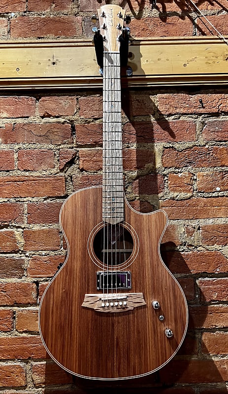 Cole Clarke TL2EC Thinline Humbucker - All Blackwood | Reverb