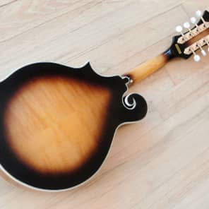Fender FM-63SE F Style Acoustic Electric Mandolin Sunburst w/ | Reverb
