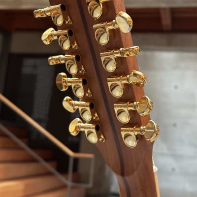 Zager ZAD900E 12 String / AURA 2021 - Spruce / Rosewood | Reverb