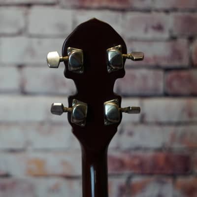 Double Eagle Samick 5-String Banjo | Reverb