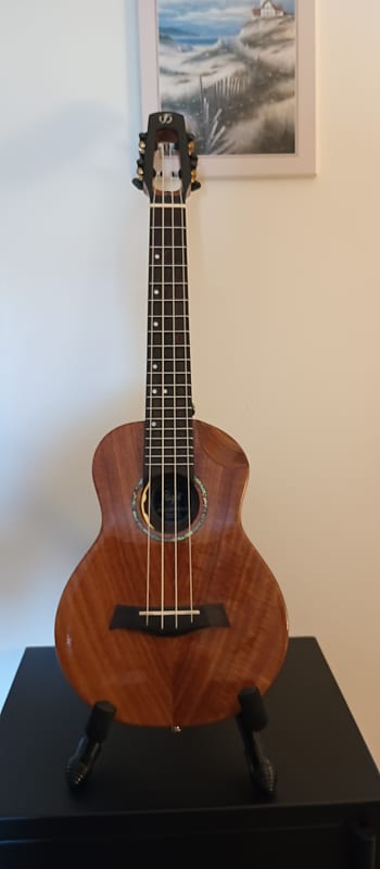 Flight spirit Concert 2023 - Aciea wood | Reverb