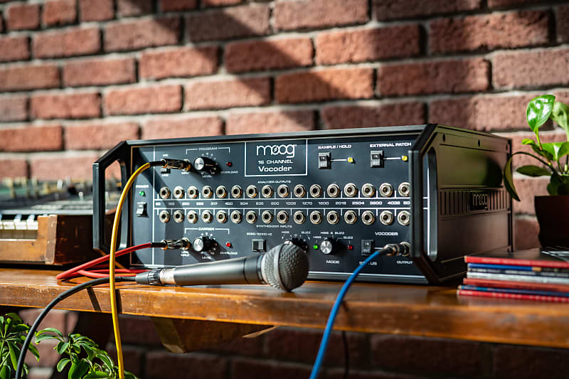 Moog 16 Channel Vocoder | Reverb