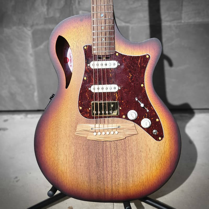Cole Clark New TRUE HYBRID Thinline, All Blackwood, cutaway, | Reverb