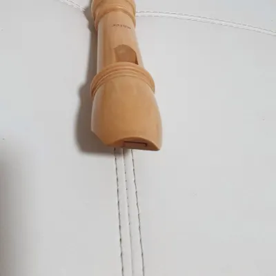 Vintage Moeck Rottenburgh 239 Alto Recorder 1975 | Reverb