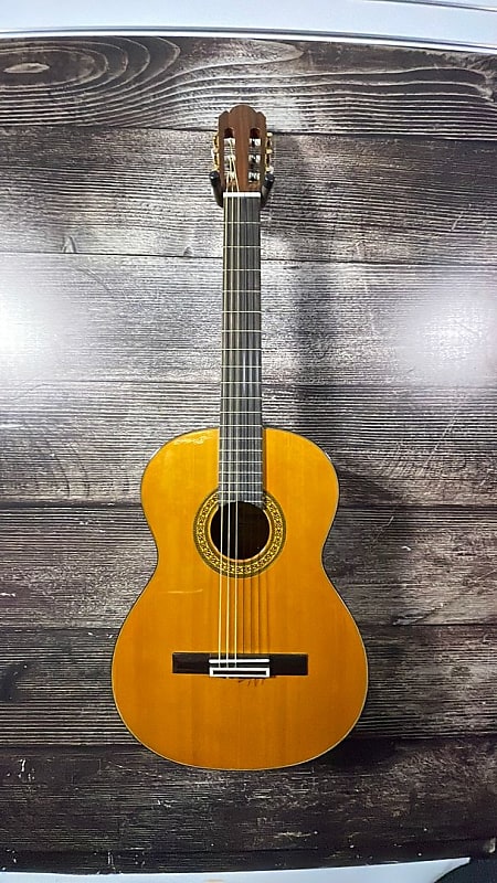 Alvarez 5004 Alvarez Classical Acoustic Guitar (Tampa, FL) | Reverb