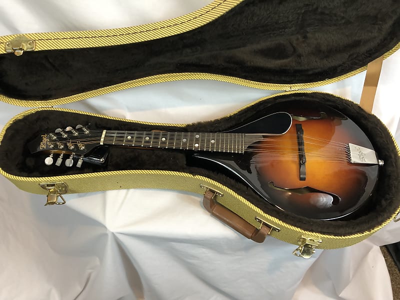 Rigel A+ Mandolin | Reverb