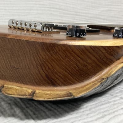 Turtle shell electric guitar- Monkey pod top | Reverb