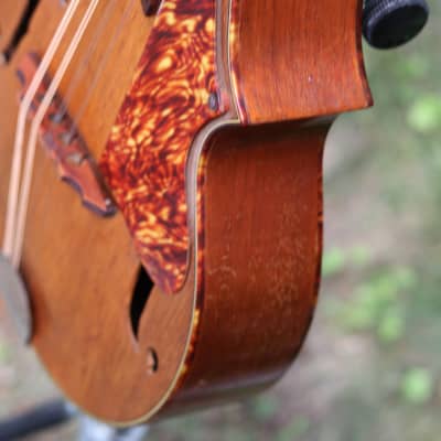 Windsor mandolin - natural | Reverb