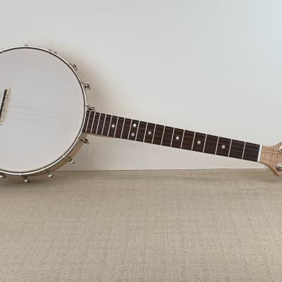 Songbird Stringed Instruments Model 20 Luthier built | Reverb