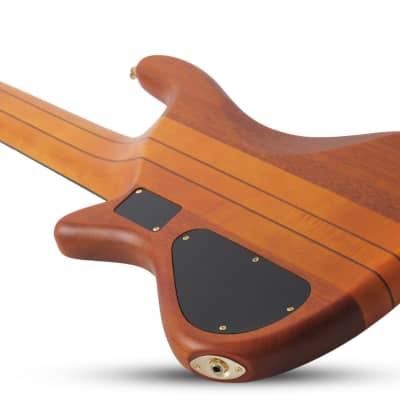 Schecter Stiletto Studio-8 Active 8-String Bass Honey Satin | Reverb