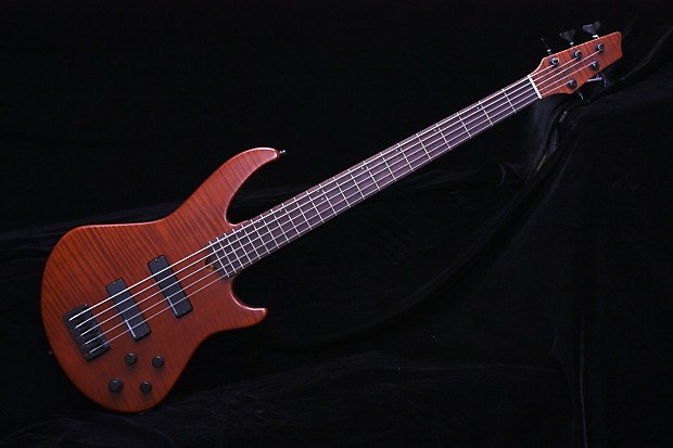 Godin BG5 5 String Bass | Reverb