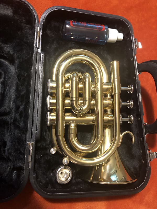 Jupiter JTR416 Specialty Bb Pocket Trumpet Next Day Shipping | Reverb
