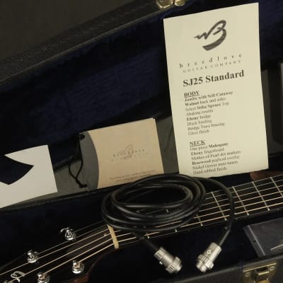 2001 Breedlove SJ25/W Jumbo w/WALNUT back + sides RMC | Reverb