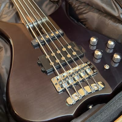 Warwick RockBass Infinity 5 String Fretless Black Electric | Reverb