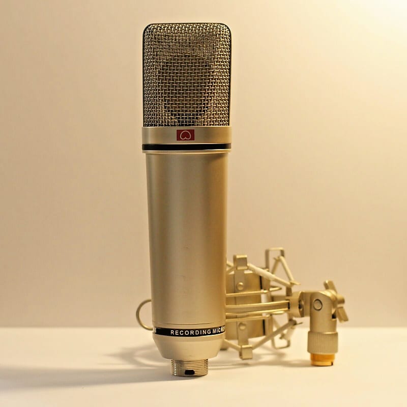 Unbranded NEUMANN U87 Clone | Reverb UK