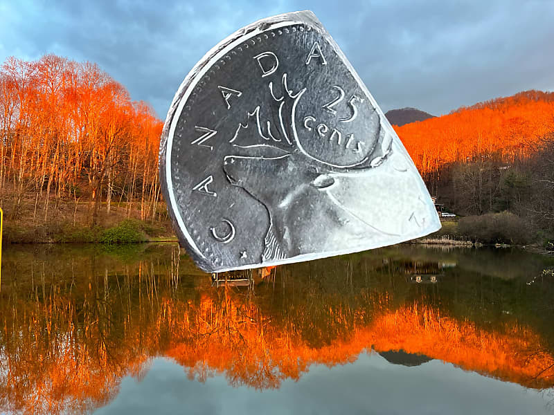 Guitar Pick made from a 40 year old Canadian Coin | Reverb