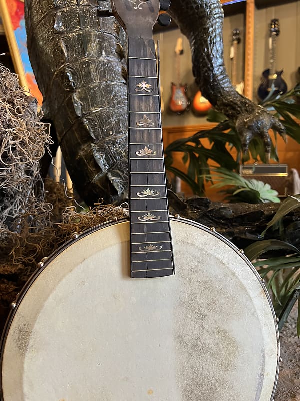 Orpheum No. 1 Mandolin Banjo Project with Original Hard Case | Reverb