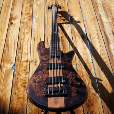 Spector NS Ethos 5 | Reverb