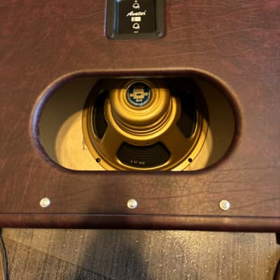 Avatar Custom Cabinet 1x12 Celestion Gold Speaker Avatar/ | Reverb