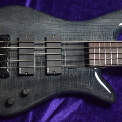 Spector Bantam 5 | Reverb