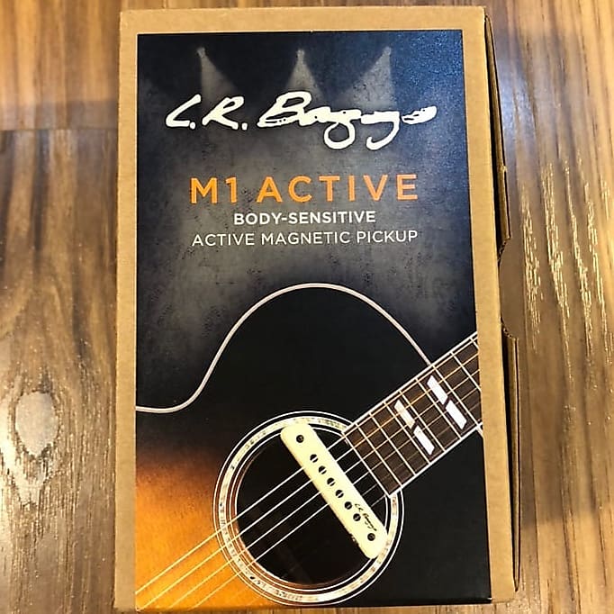 L R Baggs M1 Active | Reverb