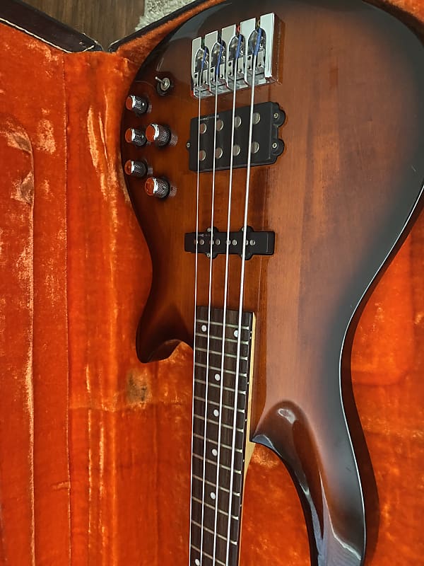 Schecter Bass | Reverb