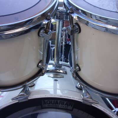 Premier Signia made in England Maple 5 piece Drum Set Pearl | Reverb