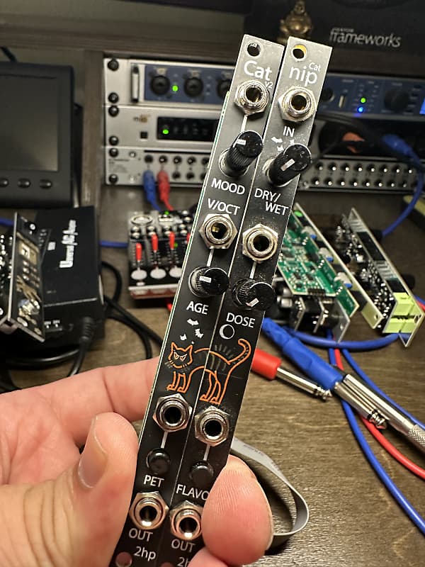 2hp Cat and Nip - Cat Synthesizer and FX Unit | Reverb