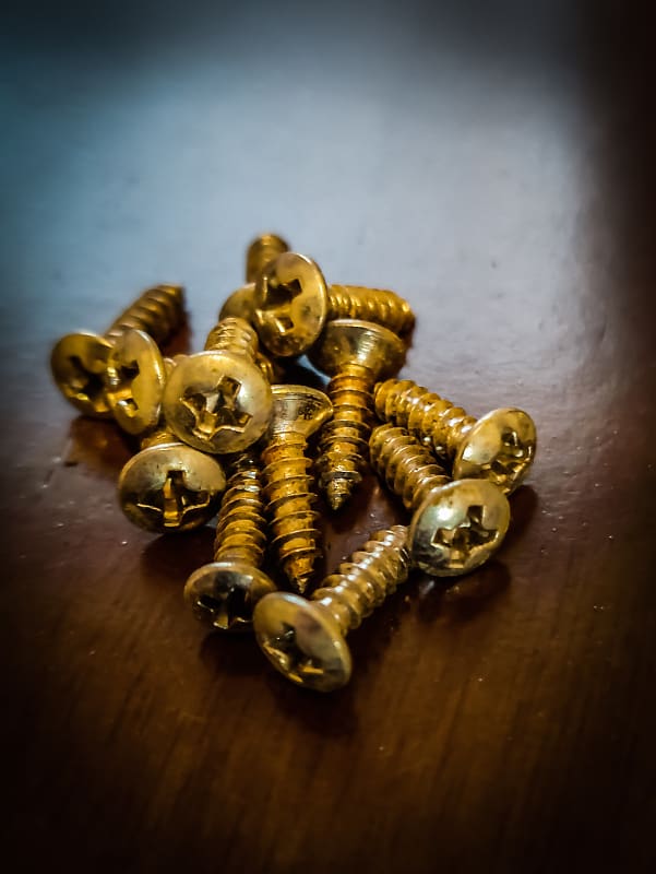 Fender Stratocaster/Telecaster Medium Relic Pickguard Screws | Reverb