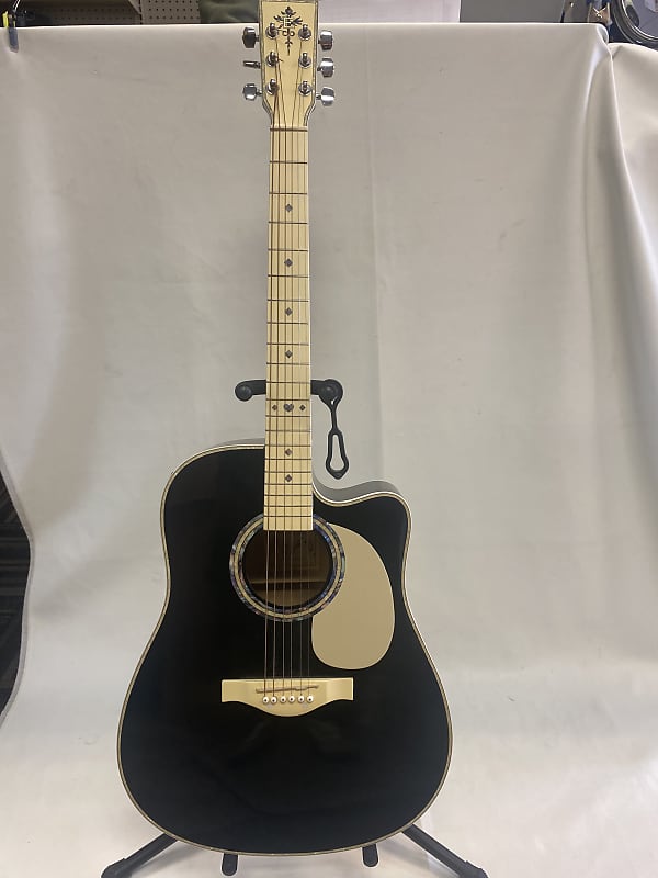 ESTEBAN VL-100 ACOUSTIC GUITAR- BLACK GLOSS | Reverb