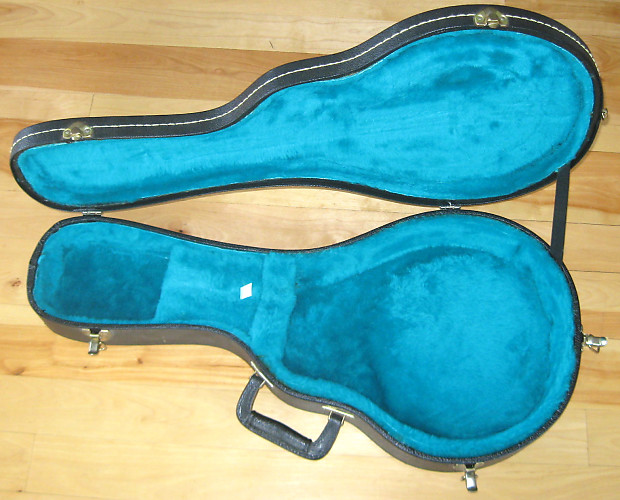F style Mandolin hard case | Reverb