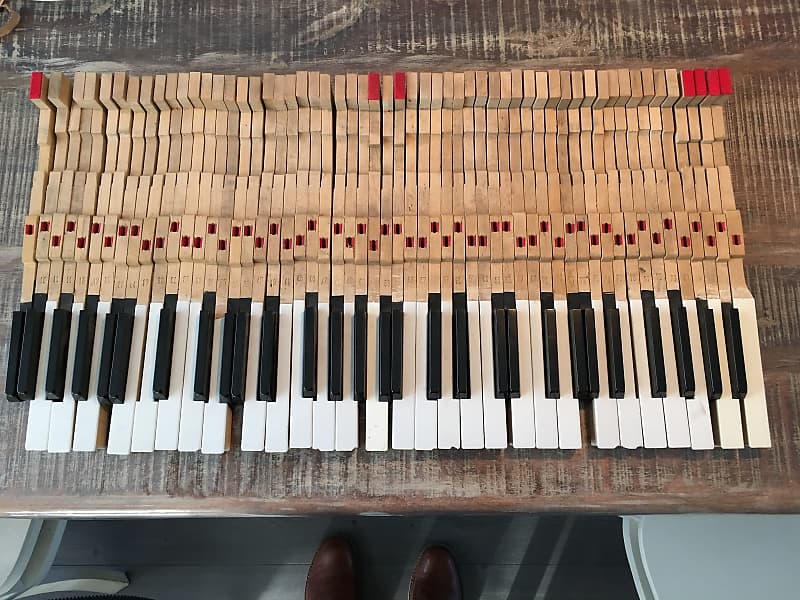 Lot of 57 Wooden Vintage Fender Rhodes keys | Reverb