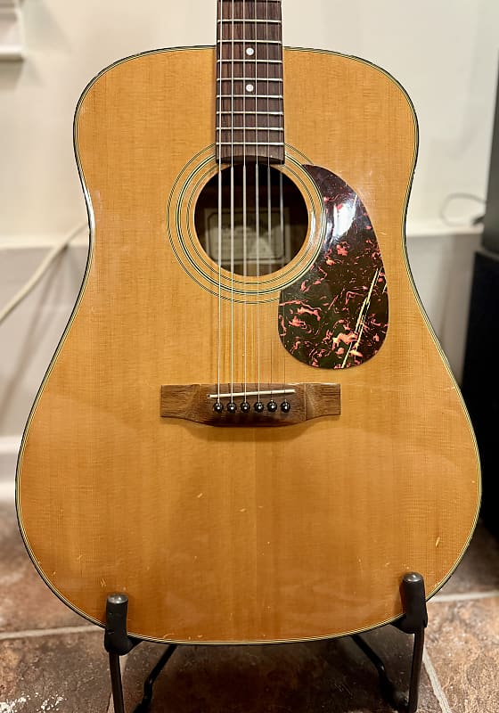 Sigma DM-2 1970’s - Glossy | Reverb