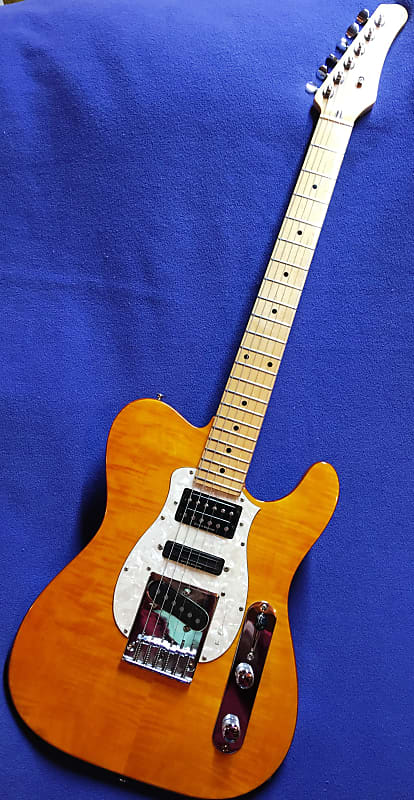 Samick Valley Arts STR 100 Ray Benson Electric Tele Style | Reverb