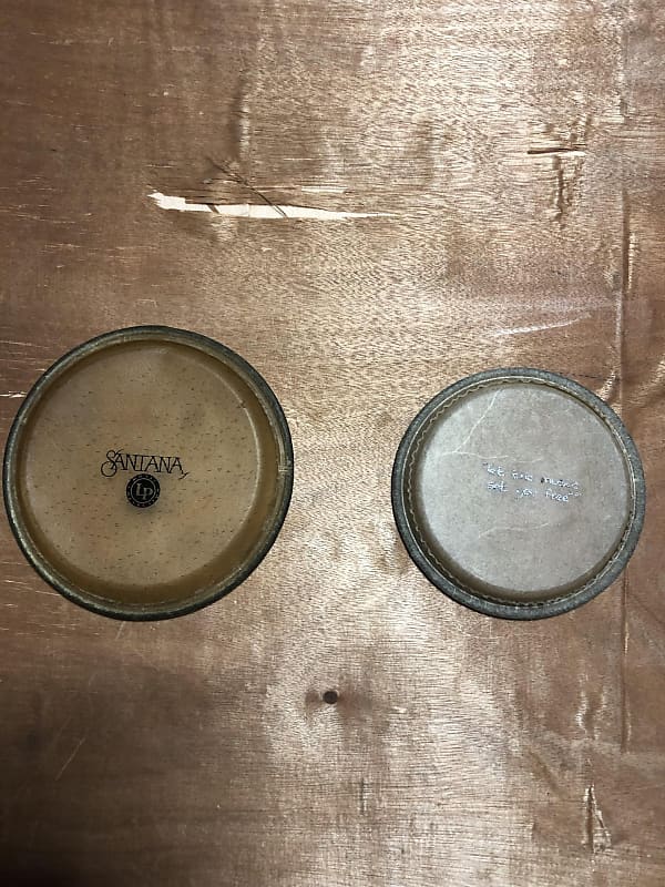 Santana Mini Tunable Bongo Replacement Heads | Reverb