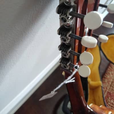 Hofner 1963 Mandolin, Model 545 Cats Eye, Natural, With | Reverb