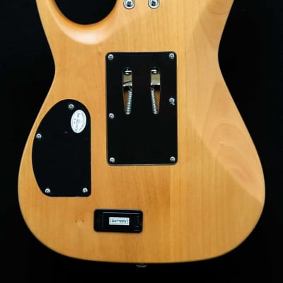 Dean Guitars - Select - Exile - Burled Poplar - 6 String - | Reverb